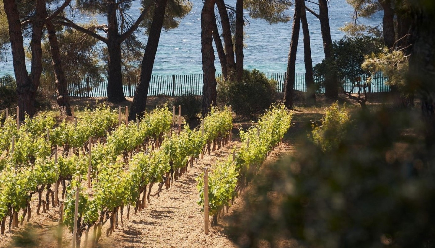 Domaines Ott Etoile, το άστρο της νοτιο-γαλλικής Βηθλεέμ | The FNL Guide