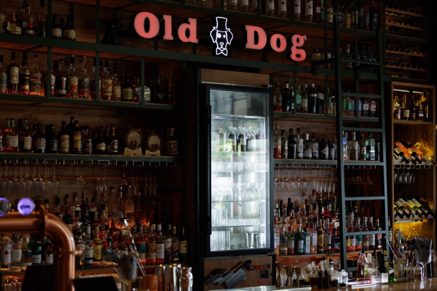 Old Dog: Μια δεκαετία ωριμότητας και ένας εντυπωσιακός νέος κατάλογος ...